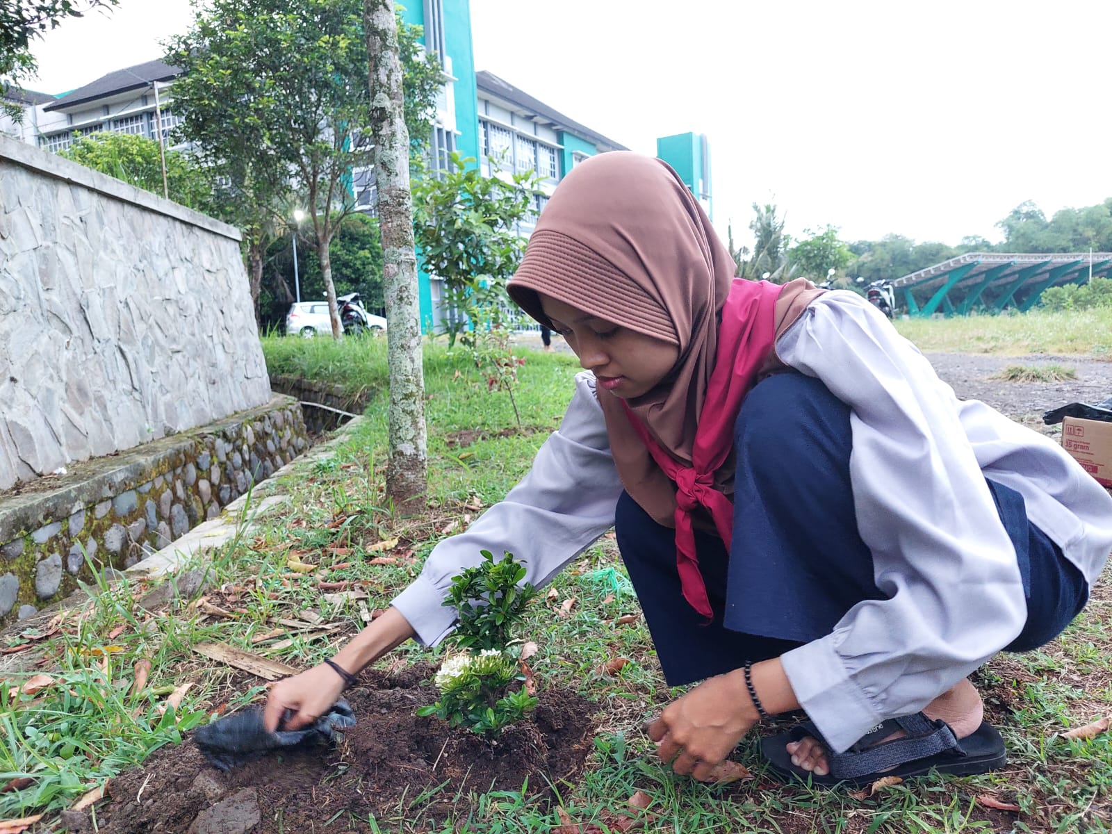 Peringati Hari Lingkungan Hidup, KSR PMI Unit UIN KHAS Jember Sebar ...